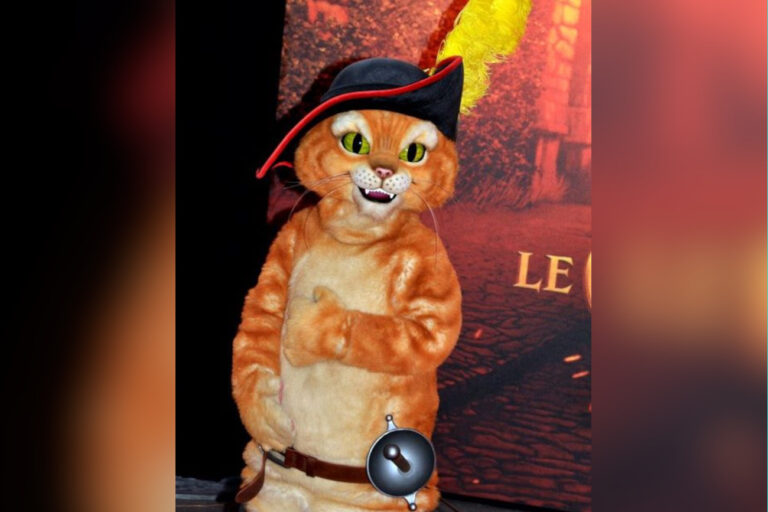 Kot ze Shreka – poznaj bohatera kultowej animacji